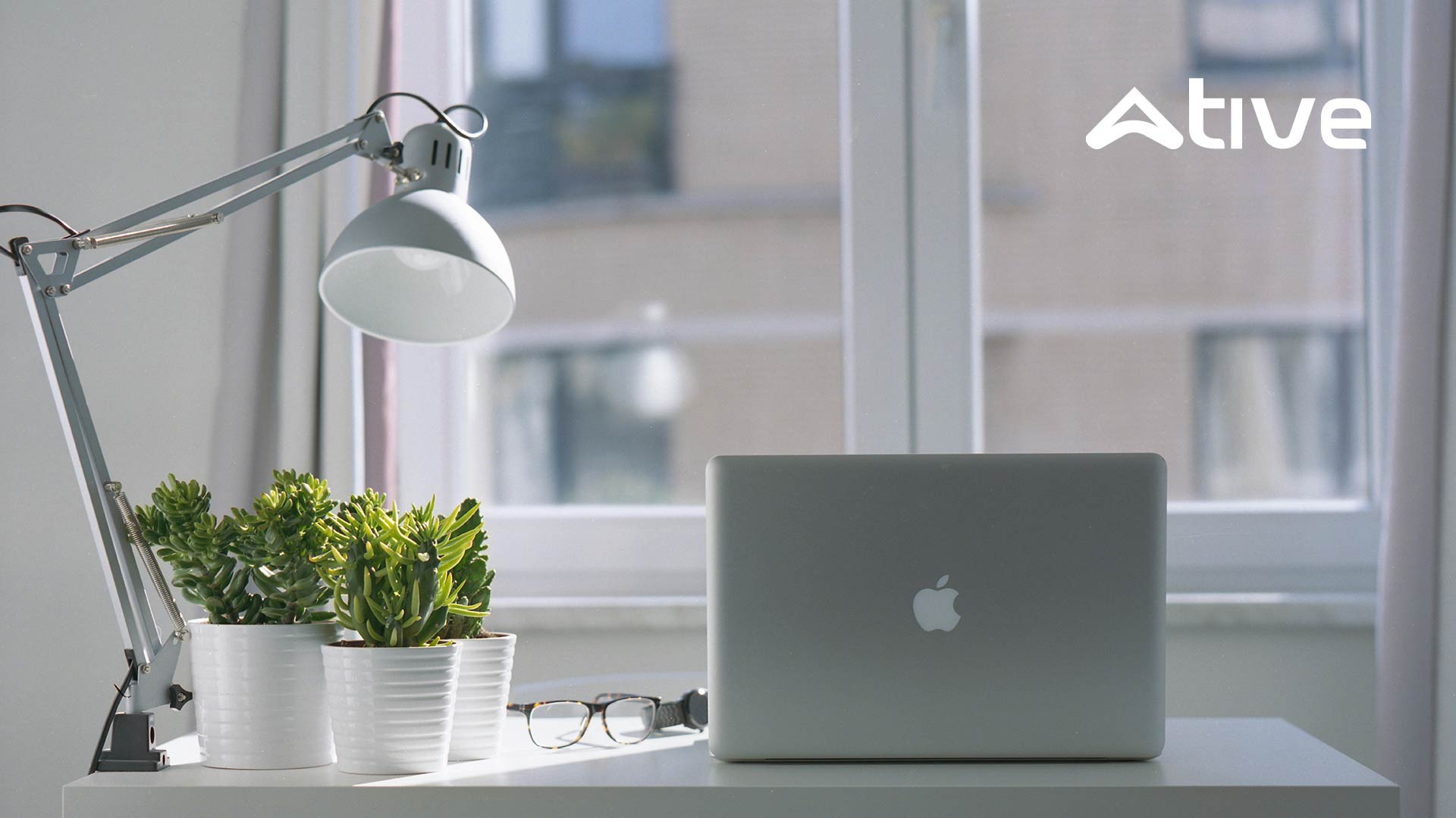 O que você precisa para obter seu Certificado Digital? | Blog Ative